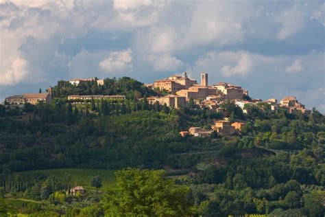 Making great vintages from montepulciano, grape known for early ...