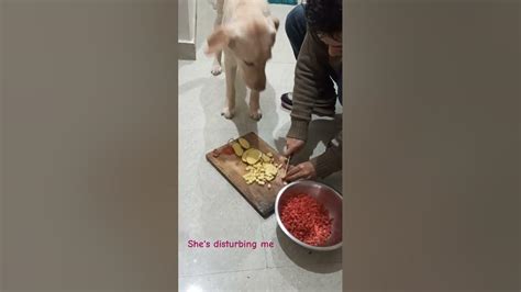 Kyun Hamesha Disturb Karta Hai 😁 Youtube