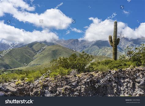 1145 Imágenes De Valles Calchaquies Imágenes Fotos Y Vectores De