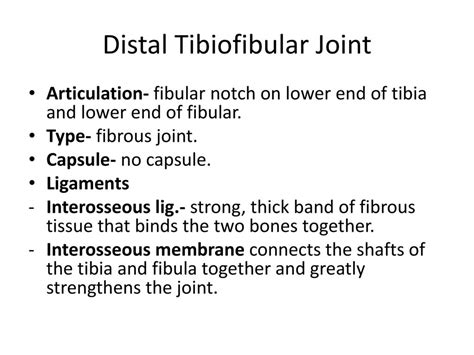 Anatomy Of The Lower Limb Ppt Download Anatomy Of The Lower Limb Ppt Download