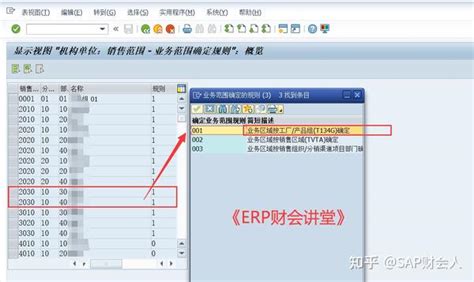 Sap软件 创建销售订单时业务范围的派生逻辑 知乎