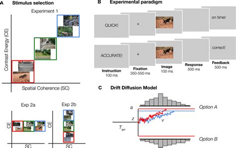 Experimental Design And Methods A Examples Of The Type Of Stimuli