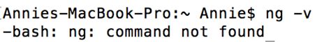 Angular Cli Ng Command Not Found In Terminal Stack Overflow