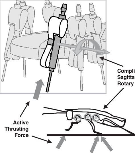 Studies Of The Cockroachs Locomotion Show That Ground Reaction Forces