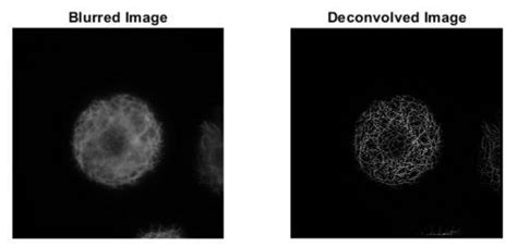 Amirhossein Barati Sedeh On Linkedin Imagedeconvolution Matlab