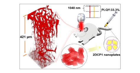 Nir Ii Excitable Water Dispersible Two Dimensional Conjugated Polymer Nanoplates For In Vivo Two