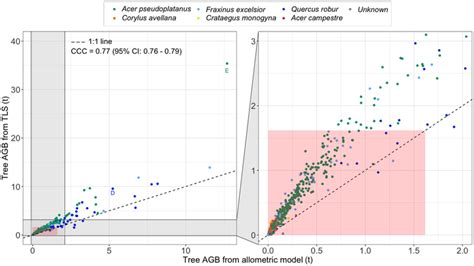 Individual Tree Agb For Wytham Woods Direct Tls‐derived Estimates