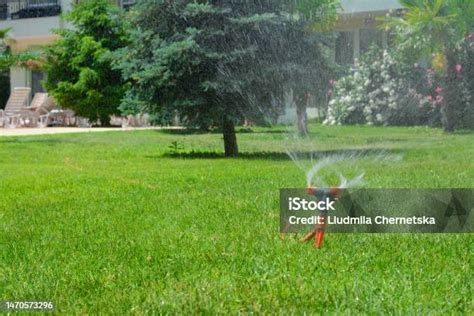 공원에서 푸른 잔디에 물을 뿌리는 자동 스프링클러 관개 시스템 0명에 대한 스톡 사진 및 기타 이미지 0명 계절 관개 장비 Istock