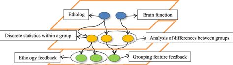 Auxiliary Decision Process Download Scientific Diagram