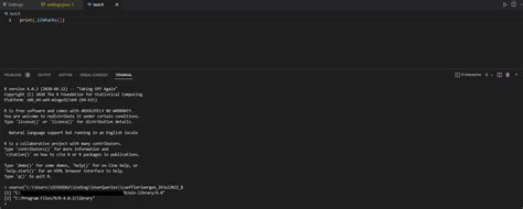 Rlibpaths Not Respected · Issue 1163 · Reditorsupportvscode R · Github