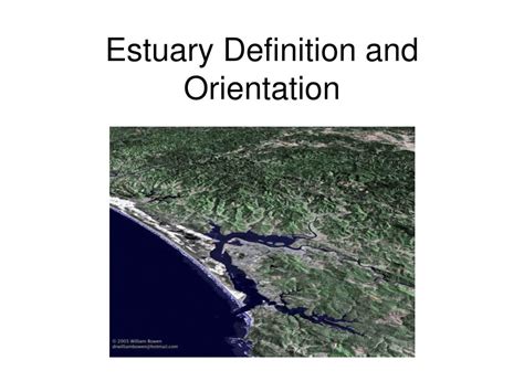 PPT Estuary Definition And Orientation PowerPoint Presentation Free Download ID