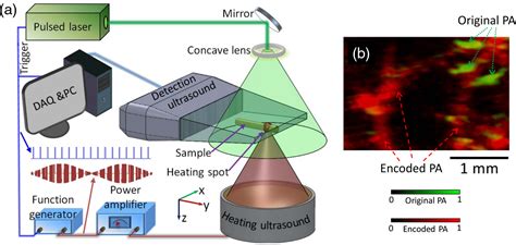 Recent Advances Toward Preclinical And Clinical Translation Of Photoacoustic Tomography A Review