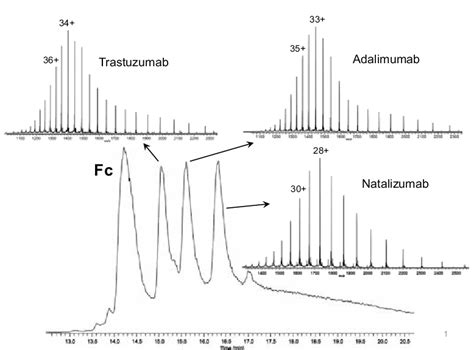 An Example Of A Middle Up Approach Application To Mab Analysis The Download Scientific Diagram