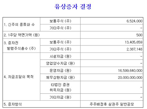 엘앤케이바이오 주주배정 유상증자 발표 신주인수권 등 일정 및 주가흐름 예상 네이버 블로그