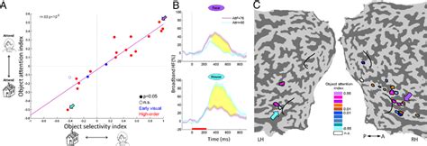 Object Based Attention Effects Along The Visual Cortical Hierarchy A