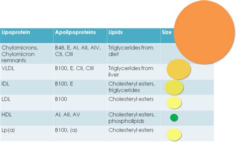 Clinical Systems Hyperlipidemia Module Exam Flashcards Quizlet