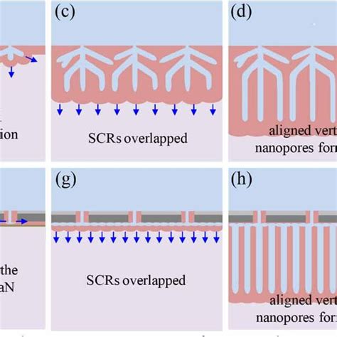 Schematic Diagrams Of Vertical Oriented Nanoporous Structures Formation