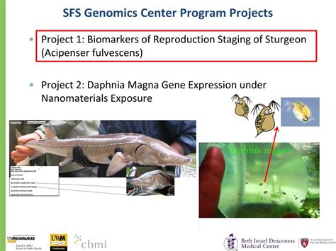 Ppt Lphig Bioinformatics Of Sfs Genomics Center Program Projects