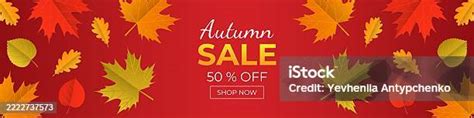 가을 세일 나뭇잎과 텍스트가 있는 가로 배너는 50 할인됩니다 벡터 일러스트 레이 션 웹 사이트에 적합합니다 가을에 대한 스톡