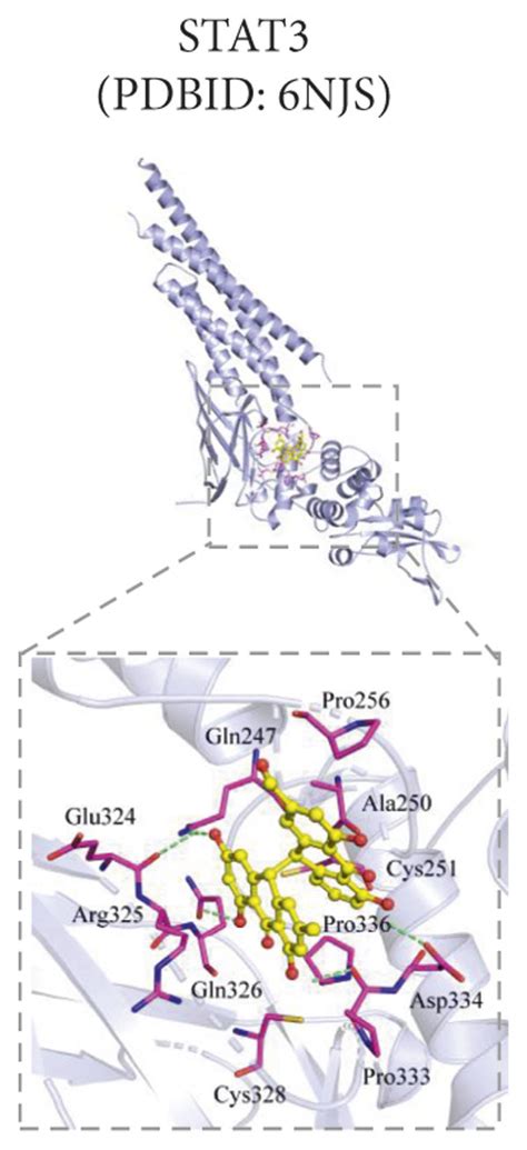 a binding energy scores of molecular docking b−f binding modes of