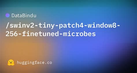 DataBindu Swinv Tiny Patch Window Finetuned Microbes Hugging Face