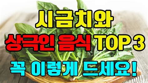 시금치와 상극인 음식 Top 3 꼭 이렇게 드세요 노년기 건강을 위해 먹는 시금치 이렇게 드셔야 신장 결석 뇌중풍 고혈압 암 치매 예방할 수 있습니다