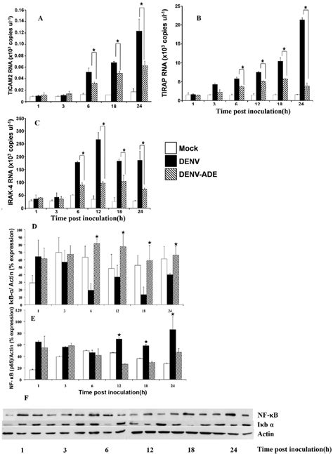 Validation Of Cdna Array Expression Data By Qrt Pcr And Immunoblotting Download Scientific
