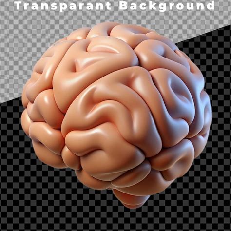 Premium Psd The Complex Wonders Of The Human Brain