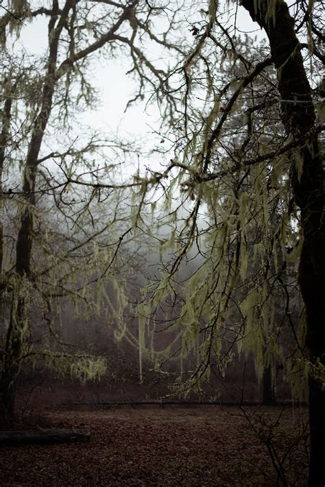 Matty Johnson On Tumblr