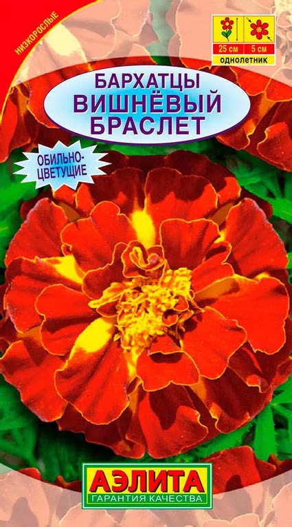 Семена Бархатцы Вишневый браслет "Аэлита" | отзывы