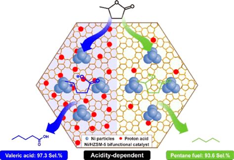 Dual Oriented Selectivity Switching For Highly Efficient Biomass