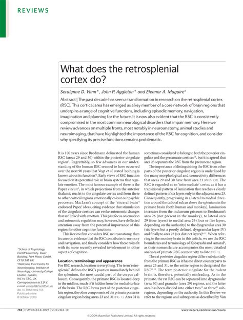 Pdf What Does The Retrosplenial Cortex Do