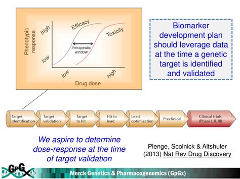 Ppt Biomarker Development For Targets With Human Genetic Validation Powerpoint Presentation