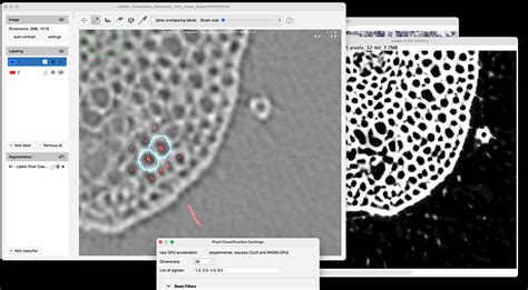 Cell Segmentation 3d Image Getting By Micro Ct They Are Big And Its Plant Image Analysis