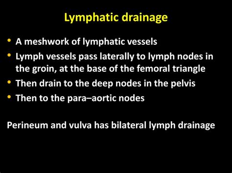 What Do Inguinal Lymph Nodes Drain Best Drain Photos