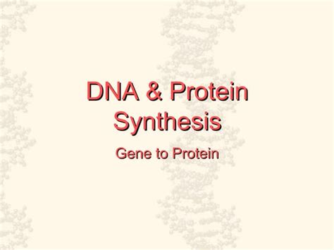 Dna And Protein Synthesis Detailed Explanations Ppt Biological