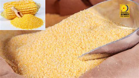 Department Of Agriculture Target Nga Magbakal Sang Stocks Sang Mais Bilang Alternatibo Sa Bugas