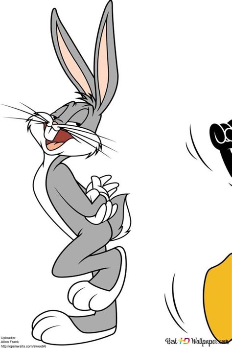 Bugs Bunny And Daffy Duck Fight 2k Wallpaper Download