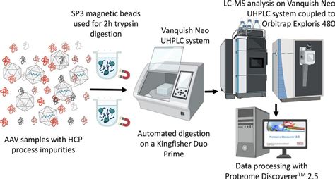 A Novel Approach To Identify Host Cell Proteins Hcps In Aavs