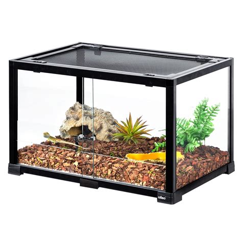 Cage Iguana Glas