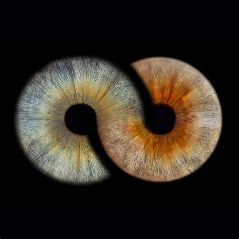 Iris Effects The Iris Photographer