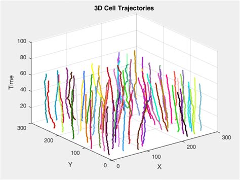 Displaying The Sequential Cell Trajectory Maps Corre Sponding To The