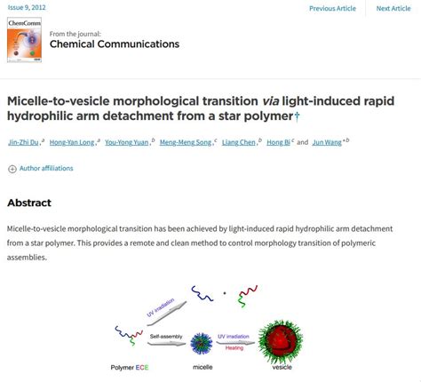 Self Assembly Nanotechnology Polymer Micellar Tubules To Micelles To