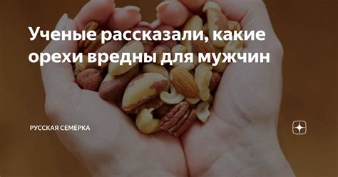 Ученые рассказали какие орехи вредны для мужчин Русская Семёрка Дзен