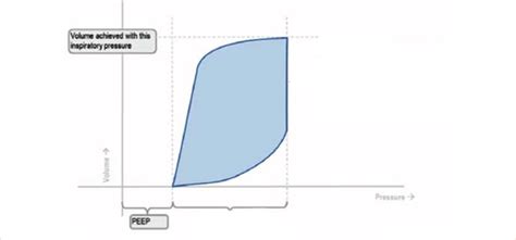 TMC MOCK ON BB Flashcards Quizlet TMC MOCK ON BB Flashcards Quizlet