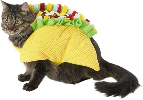 Taco Cat Costume For Humans Psbattle A Black Cat With A Taco Costume