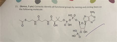 Solved Bonus 5 ﻿pts ﻿correctly Identify All Functional