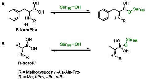 Potential Of Boronic Acid Derivatization And Activity In Agrochemical