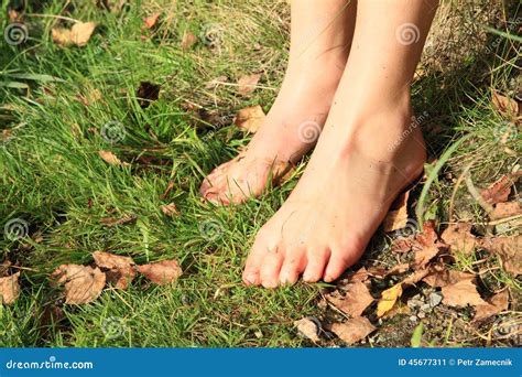 Босые ноги на траве стоковое изображение изображение насчитывающей нога 45677311