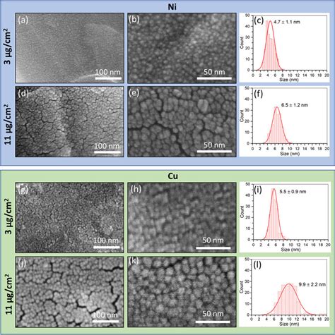 high resolution sem images and particle size distributions of ni and cu